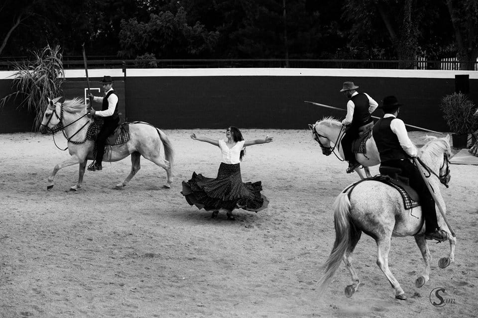 spectacle equestre photo 2 - Arles Events